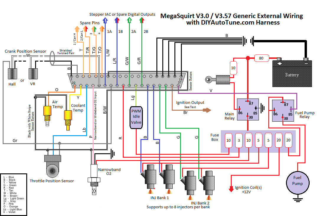 8′ MegaSquirt Wiring Harness (MS1/MS2/MS3 Ready) – PMB Performance